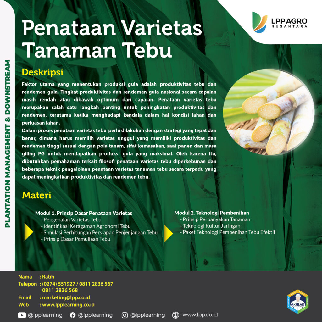 Penataan Varietas Tanaman Tebu - LPP Agro Nusantara